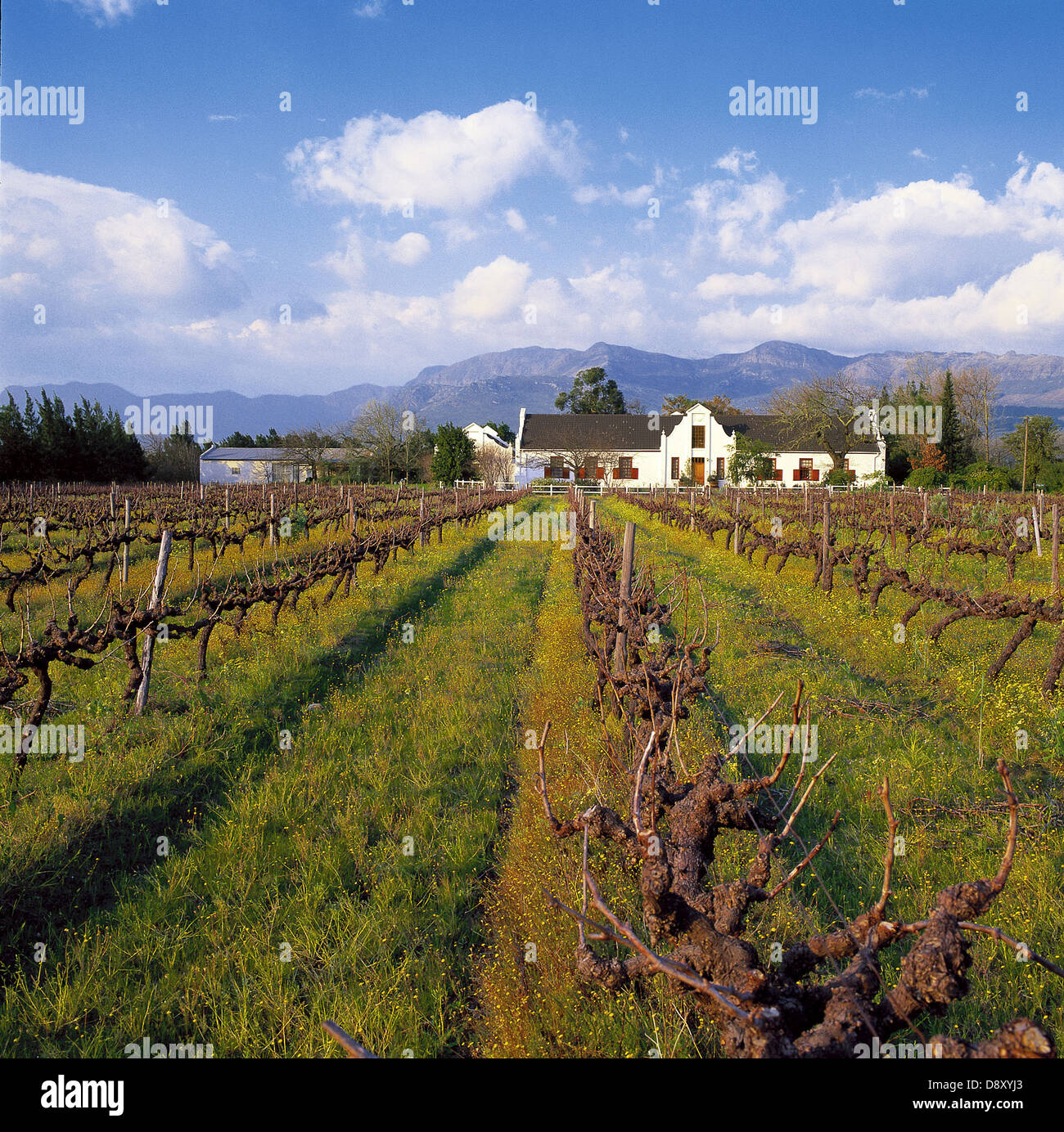 South africa boland hi-res stock photography and images - Alamy