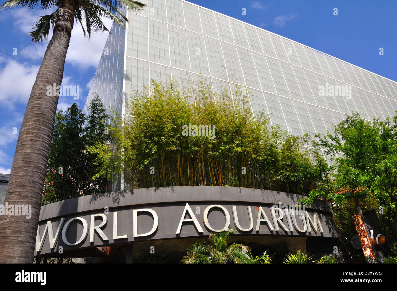 Dallas Aquarium, Texas, USA Stock Photo - Alamy