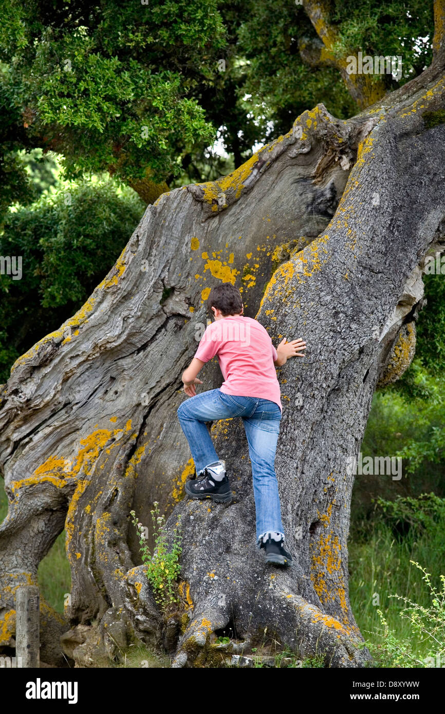 Tree children oak hi-res stock photography and images - Alamy