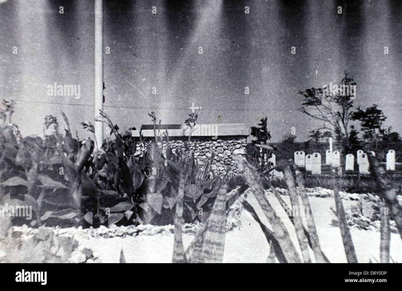 This photo from the VP102 Second Tour collection features a ...