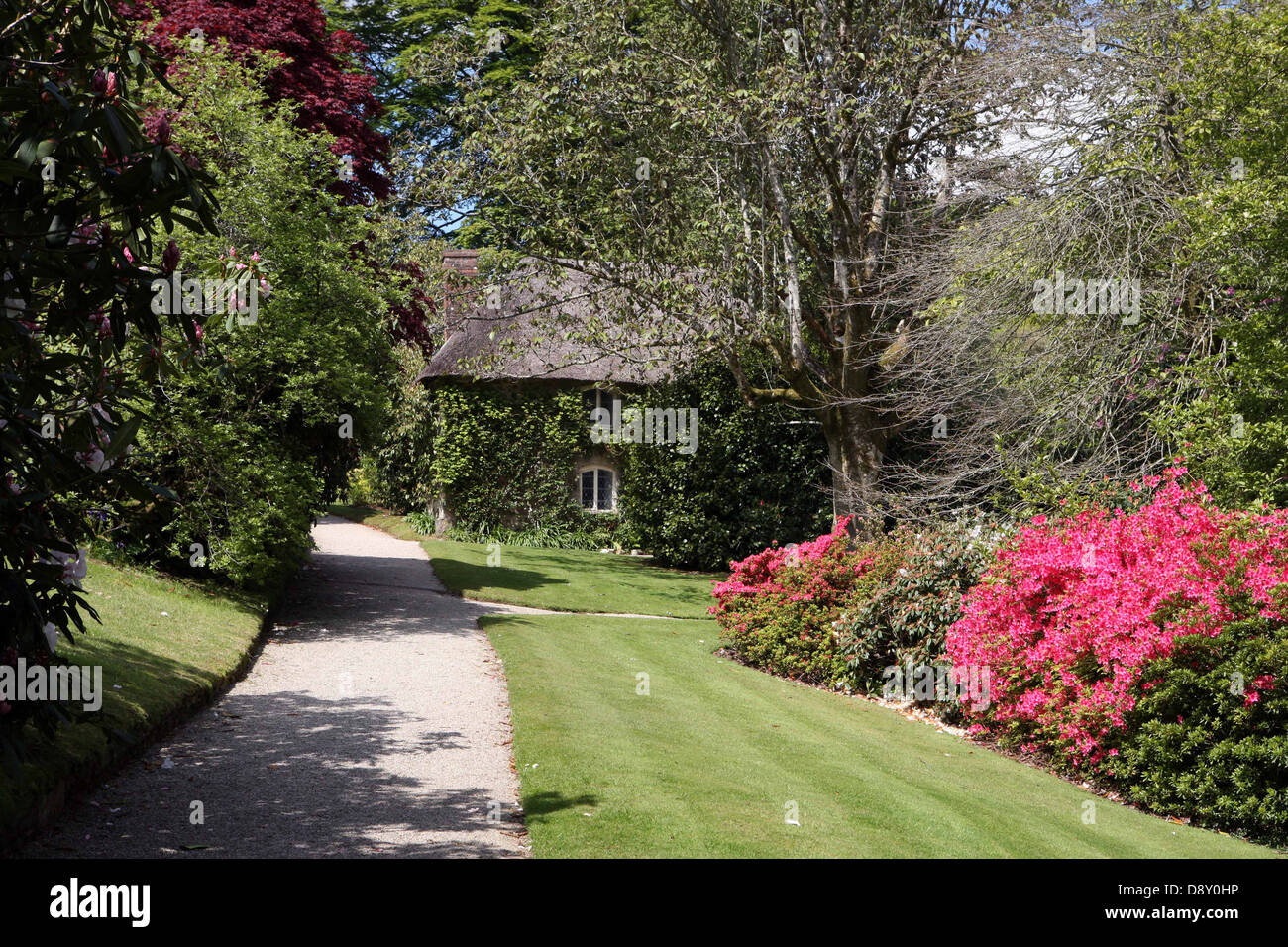 Lanhydrock gardens in Spring, Cornwall Stock Photo - Alamy