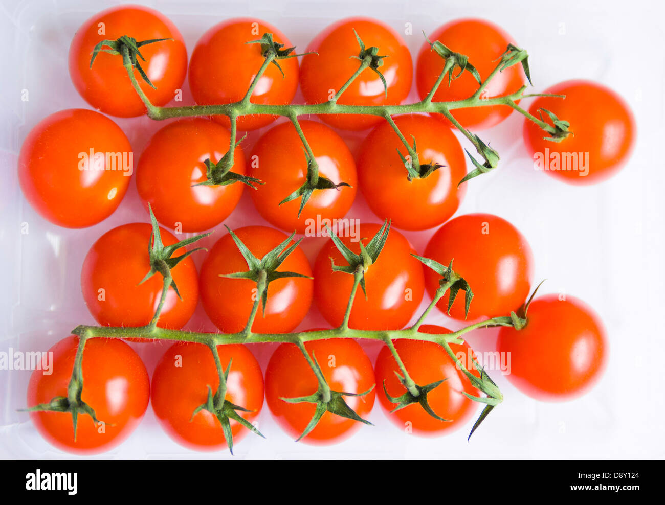 A tray of red cherry tomatoes on the vine. Ripened Mature Edible Ready ...