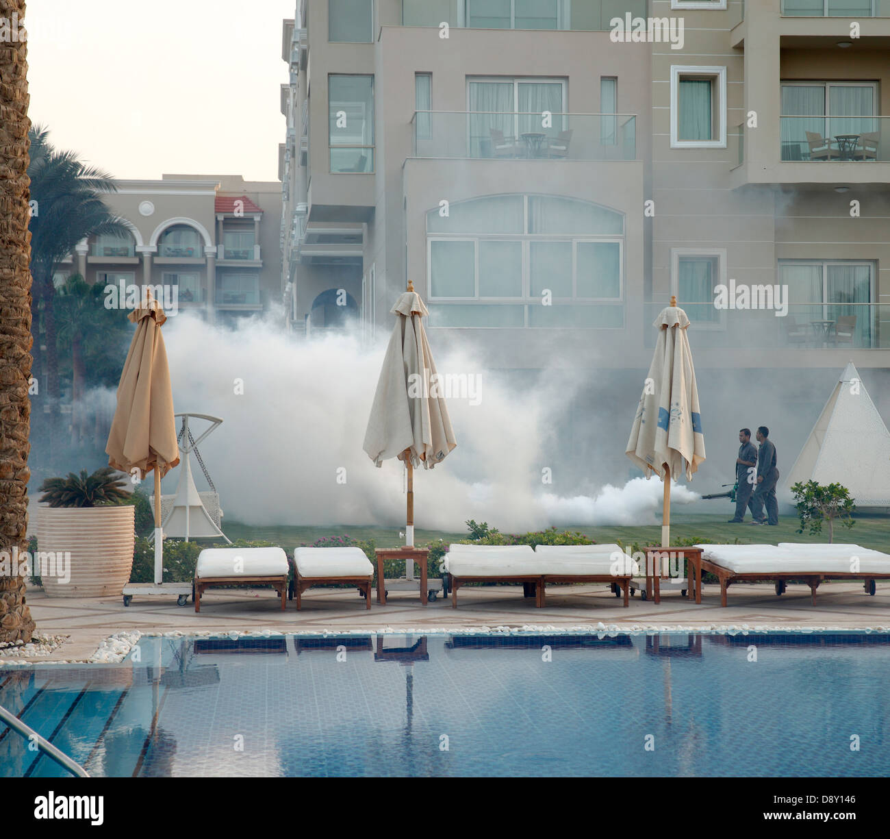 Fogging for insects hi-res stock photography and images - Alamy