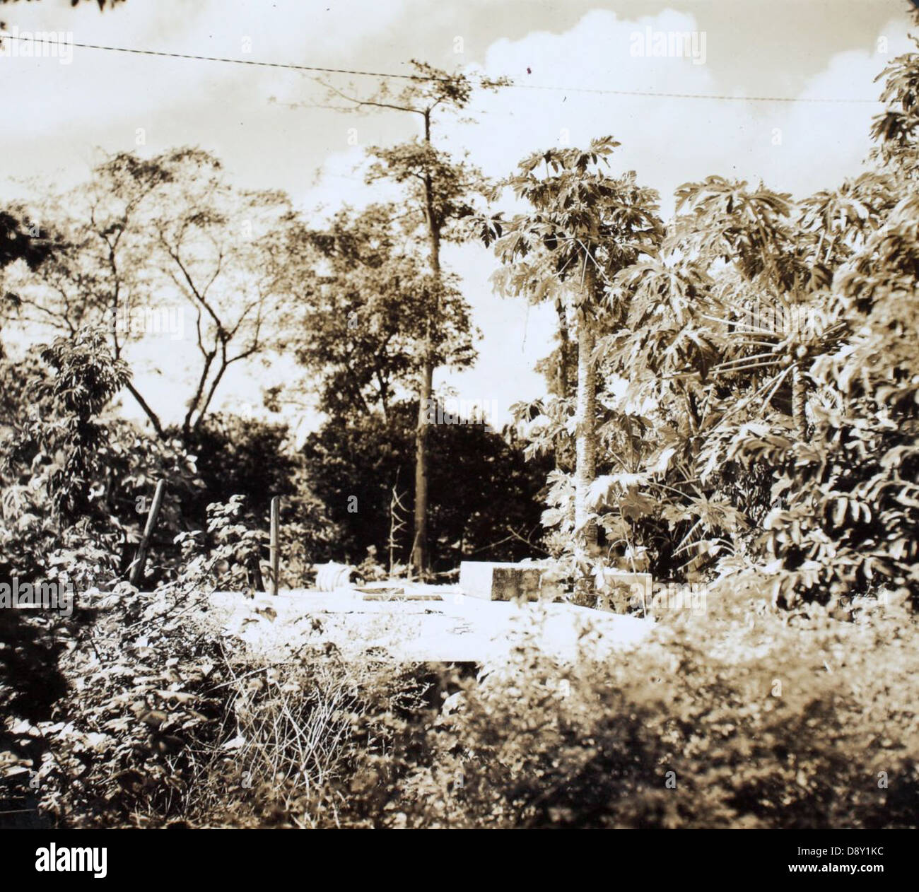 This image from the VP102 Second Tour Collection showcases the PB4Y ...