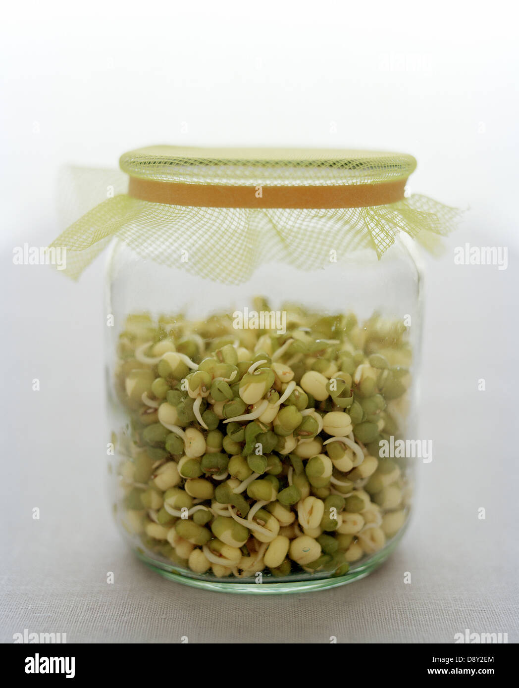 A can with sprouts Stock Photo - Alamy