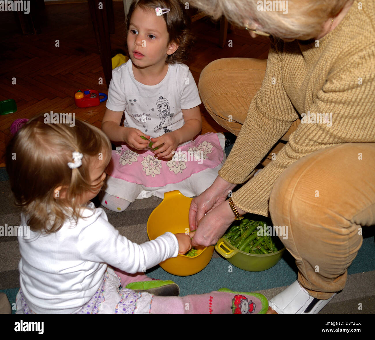 Grandmother and little girls (4 and 2 year old) shelling peas at home ...