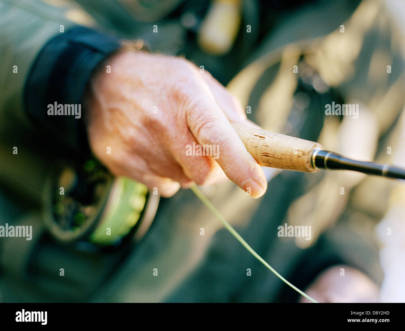 A hand holding a fishing rod Stock Photo - Alamy