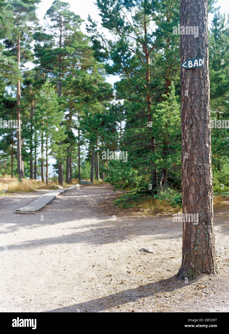 Path towards beach through forest Stock Photo - Alamy