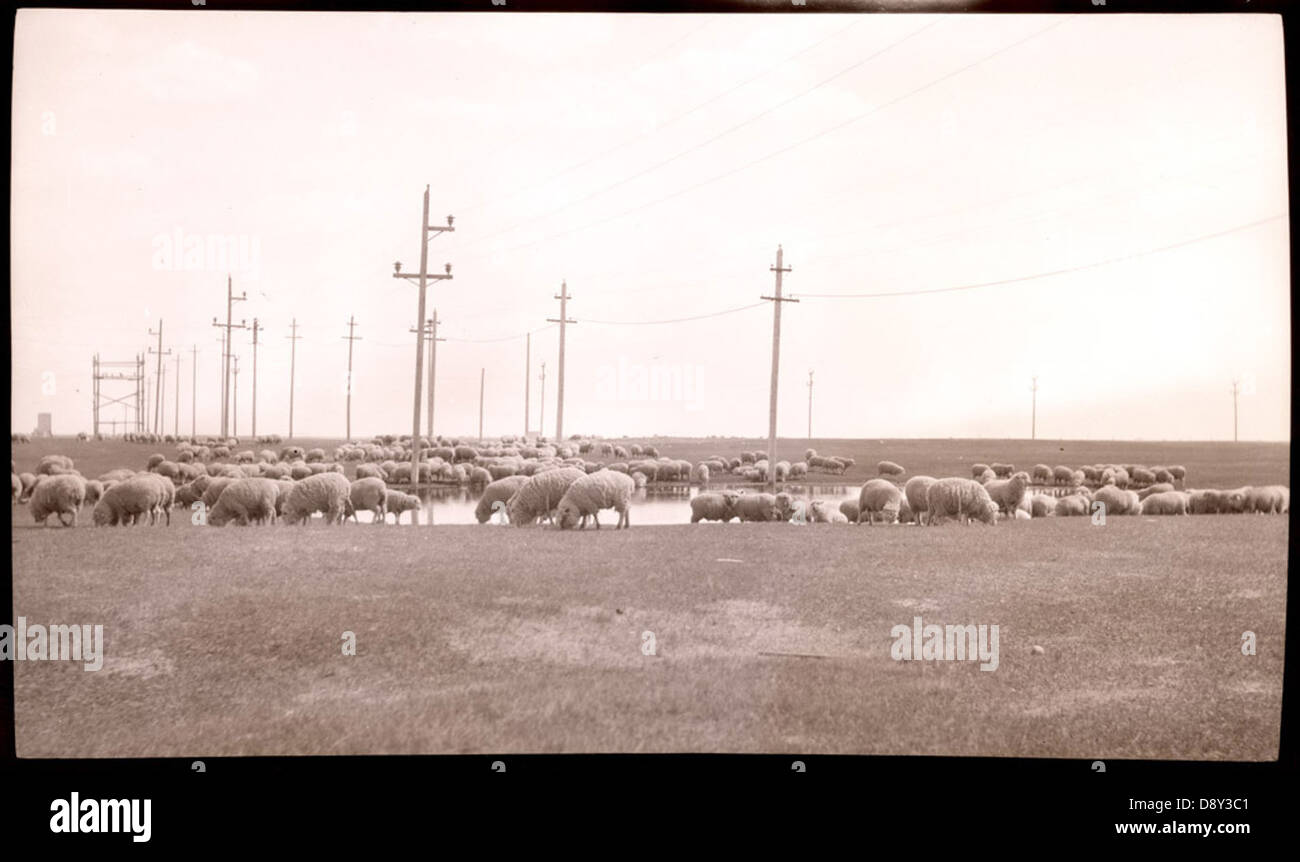 An untitled archive image from Nova Scotia Archives, showcasing ...