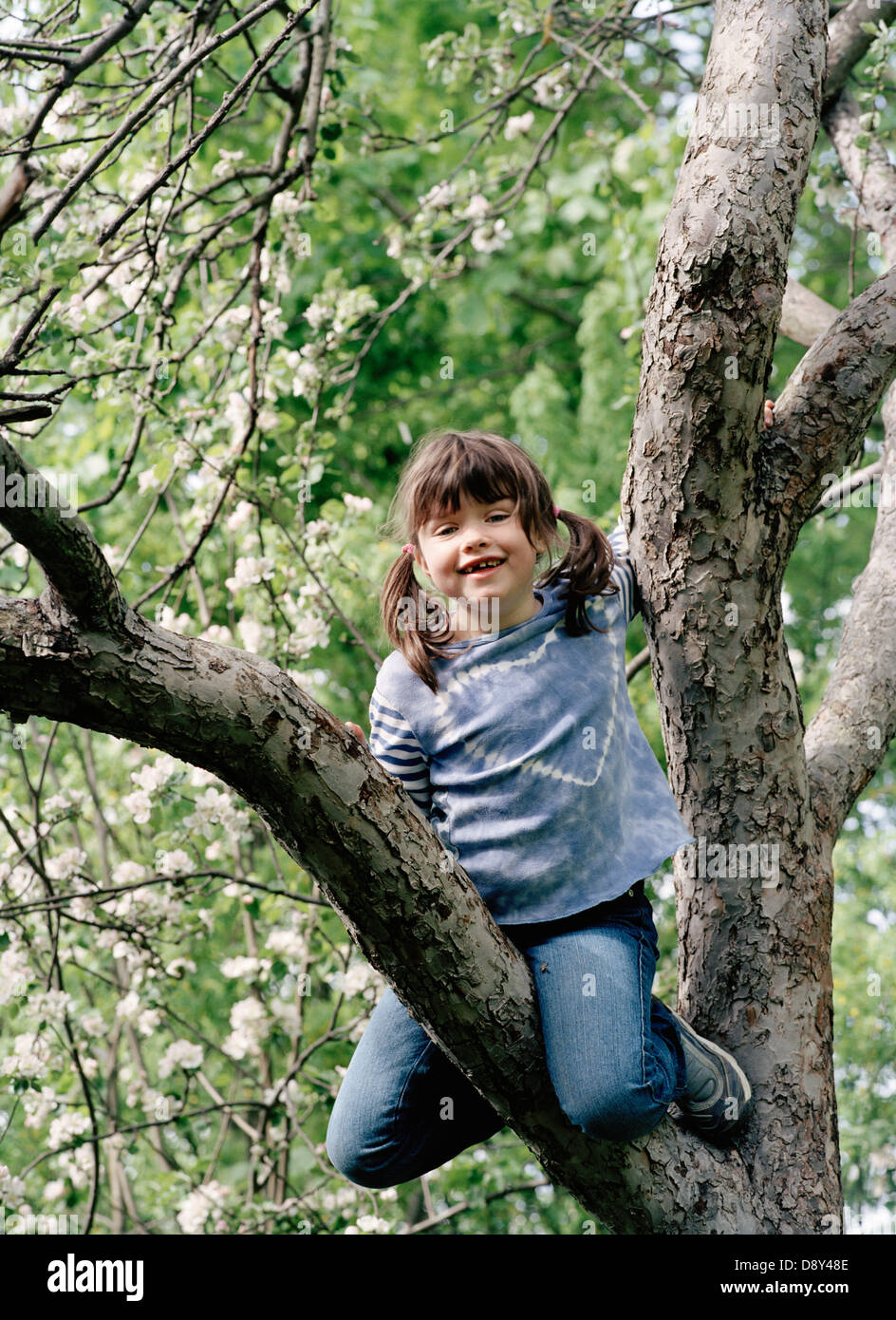A girl sitting in a tree Stock Photo - Alamy