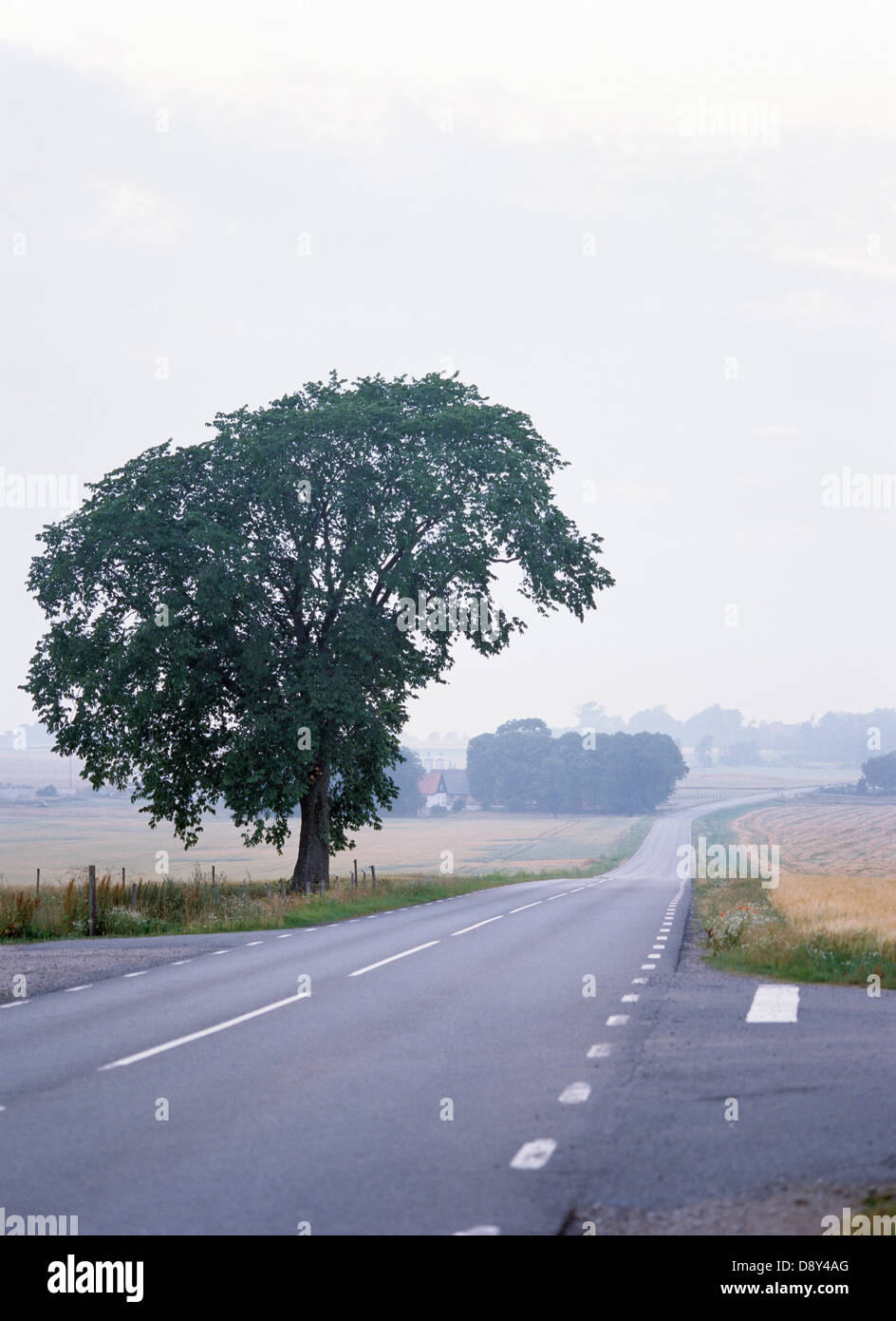 Fog over a country road Stock Photo - Alamy