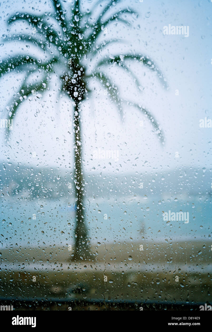 A window with rain drops, blurred palm-tree in the background Stock ...