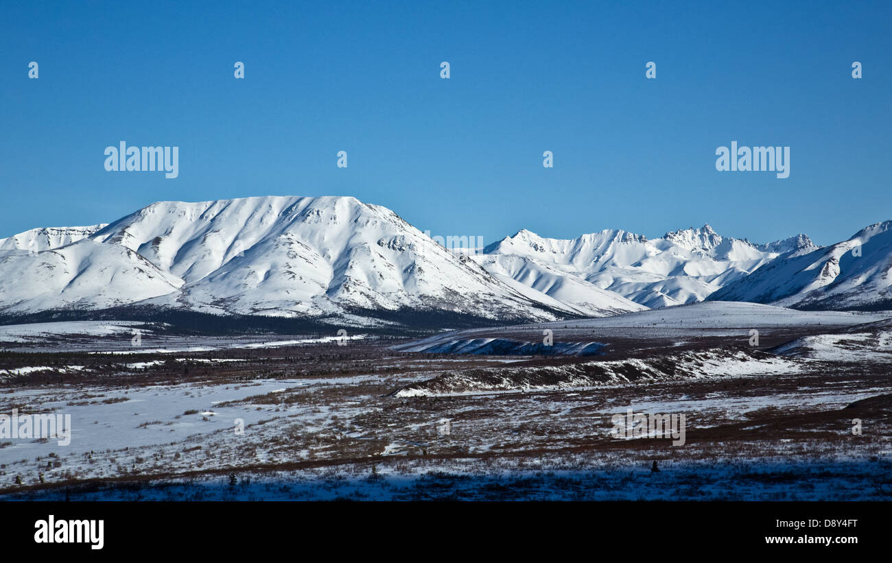 Alaska's Denali National Park Stock Photo - Alamy