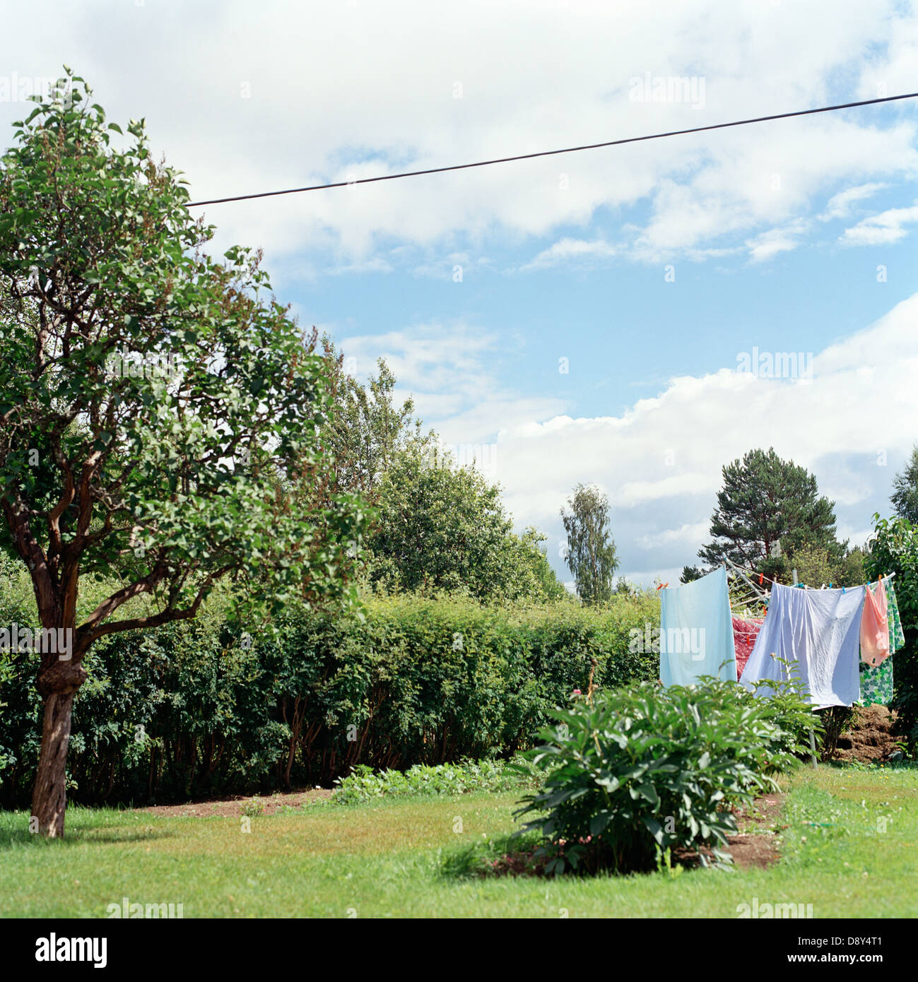 Laundry drying in a garden Stock Photo - Alamy