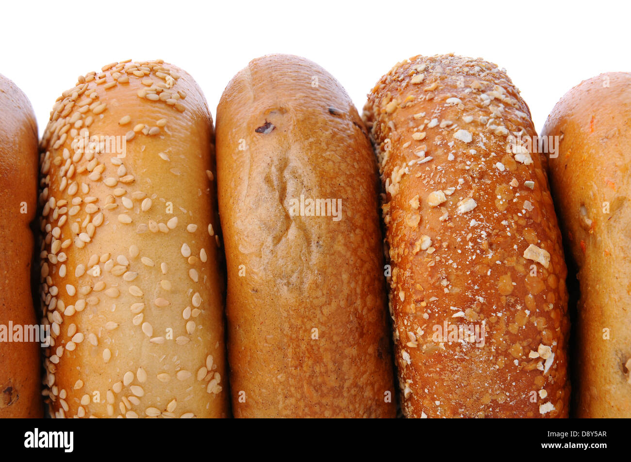 A closeup of 5 bagels standing on their sides with a white background ...