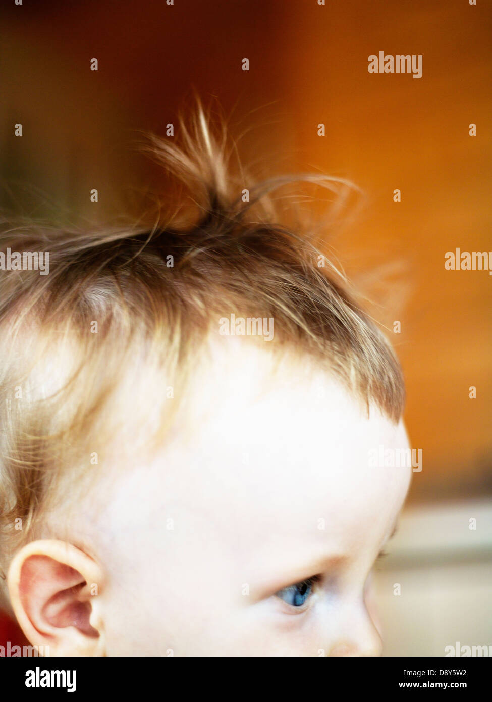 The head of a baby Stock Photo - Alamy