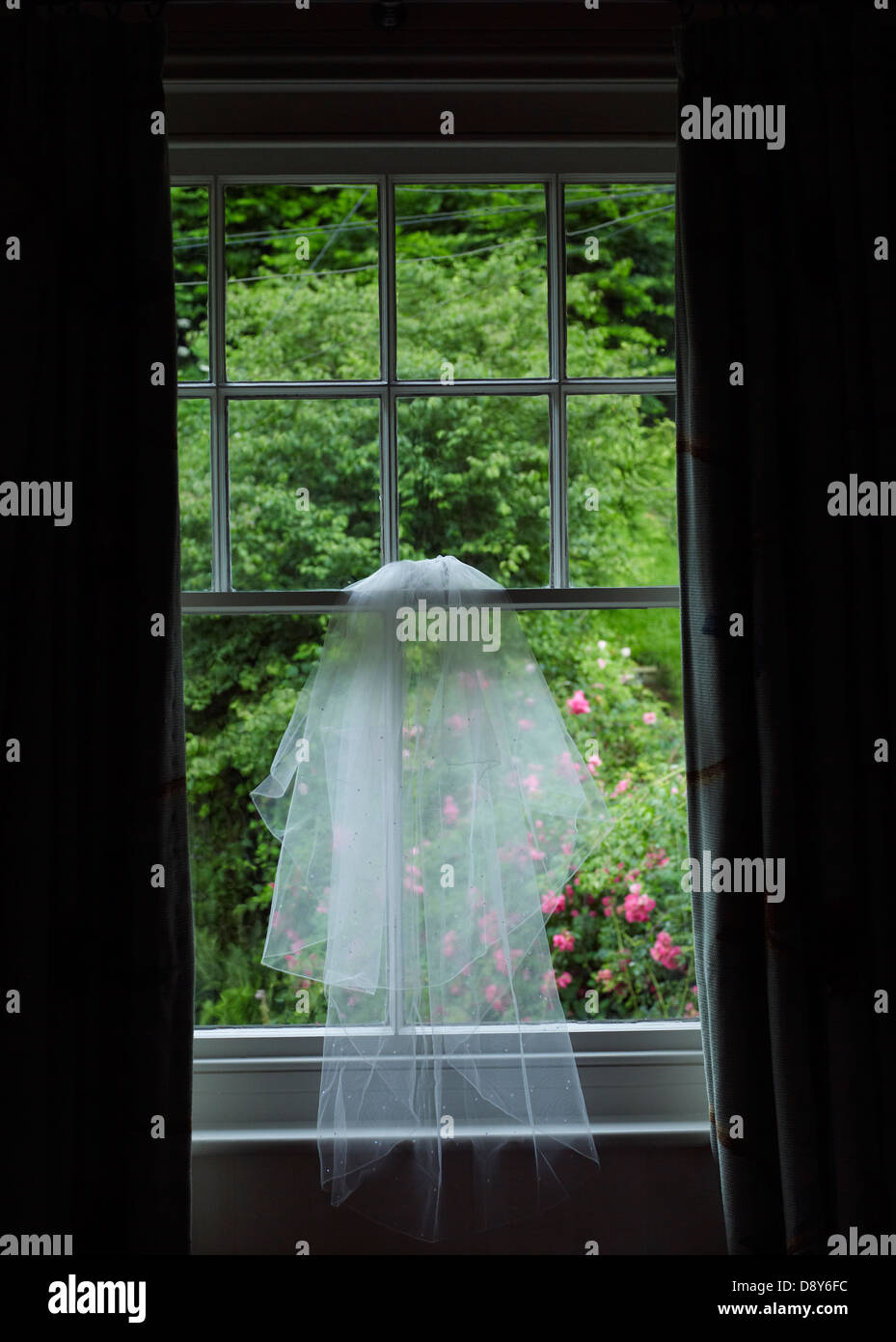 Garden from old window hi-res stock photography and images - Alamy