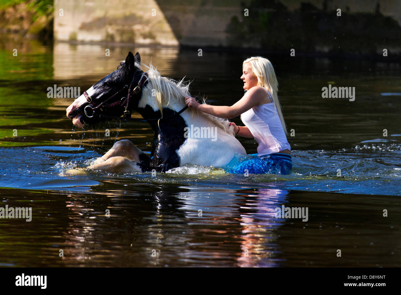 Stacey Turner, 16 bathing her horse in the River Eden at the Appleby ...
