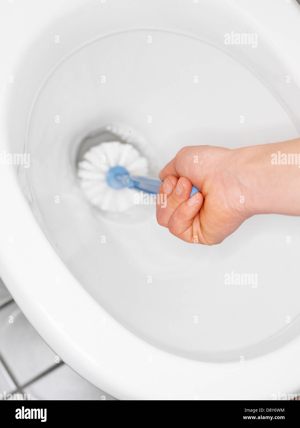 A toilet being cleaned Stock Photo - Alamy