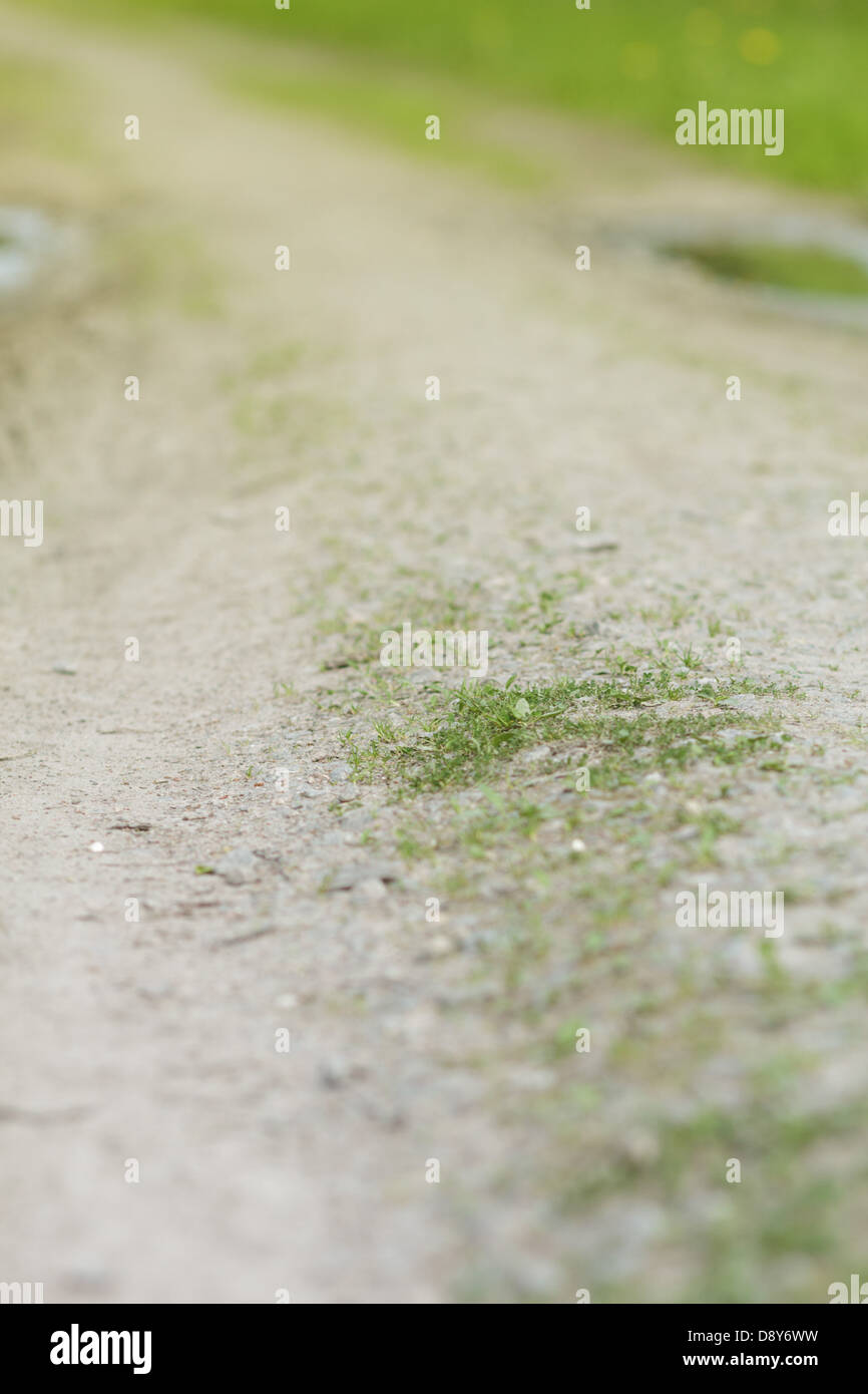 close up photo of walkway in the park vertical Stock Photo - Alamy