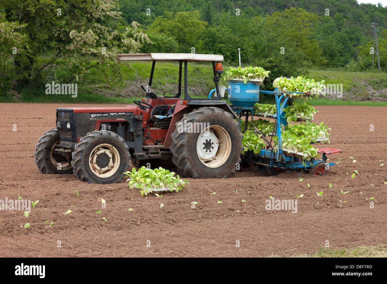 Tractor with Seedlings Ready for Planting Dordogne Valley France Europe ...