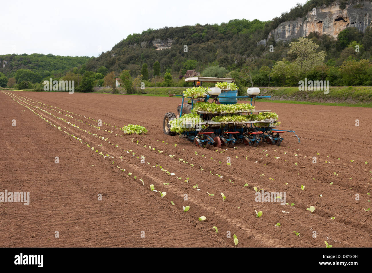 Tractor with Seedlings Ready for Planting Dordogne Valley France Europe ...