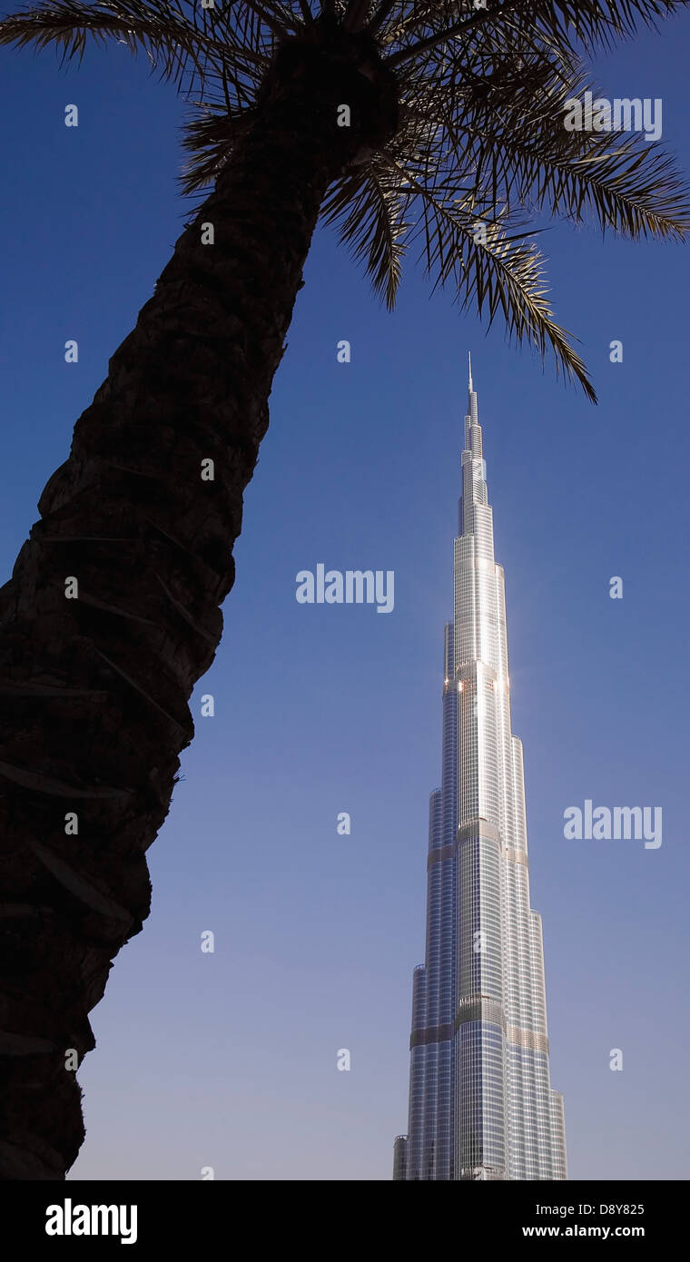 UAE, Dubai, Palm tree in front of Burj Khalifa tower Stock Photo - Alamy