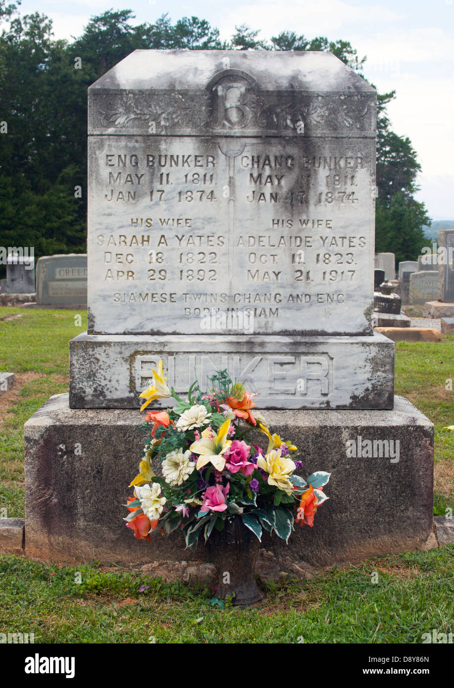 Chang And Eng Bunker Liver