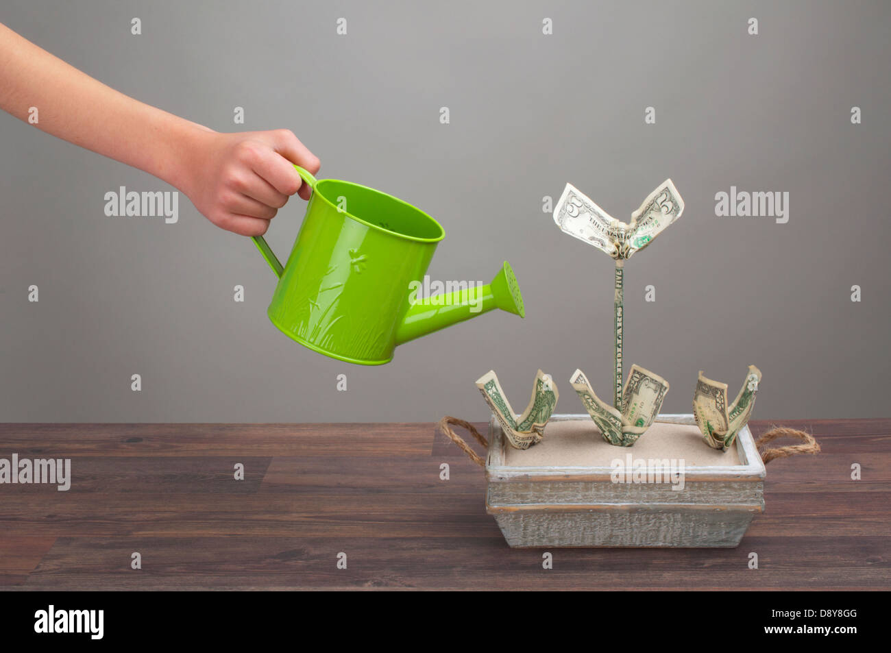 Arm with watering can watering "dollar - plants" - money concept Stock ...
