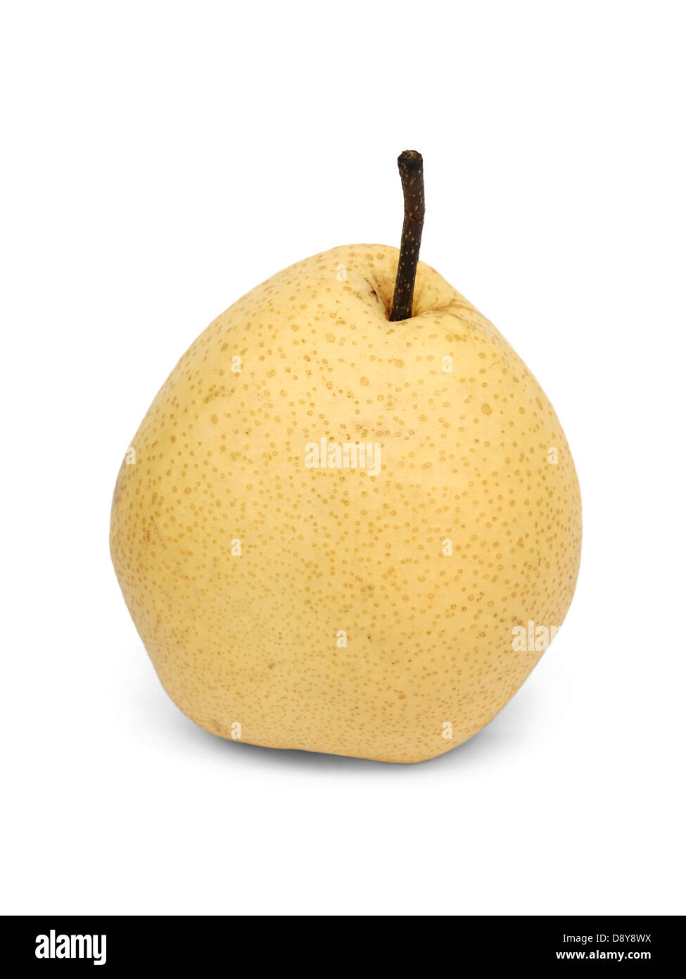 Chinese pear on white background Stock Photo - Alamy