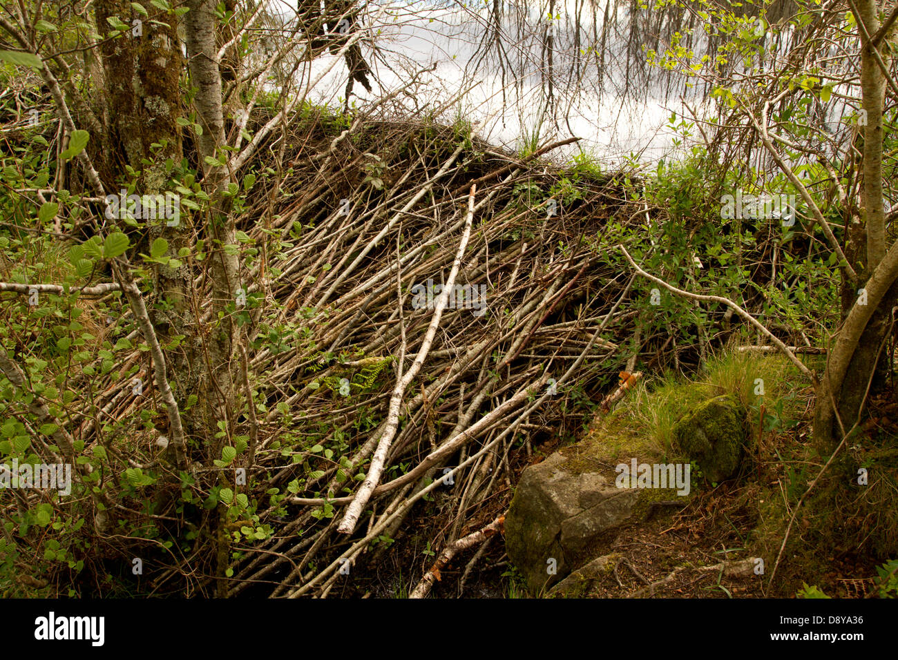 Knapdale High Resolution Stock Photography and Images - Alamy
