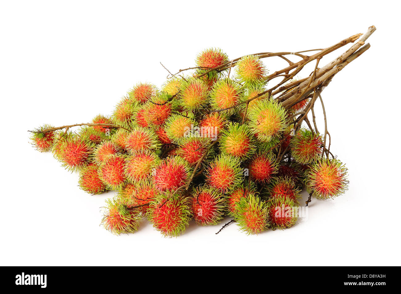 Rambutan fruits isolated on white background Stock Photo - Alamy