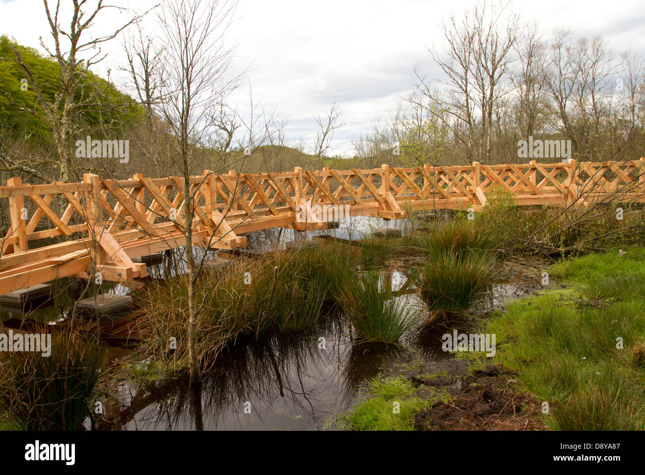 Viewing platform under-construction at Knapdale Forest; Scotland. The ...