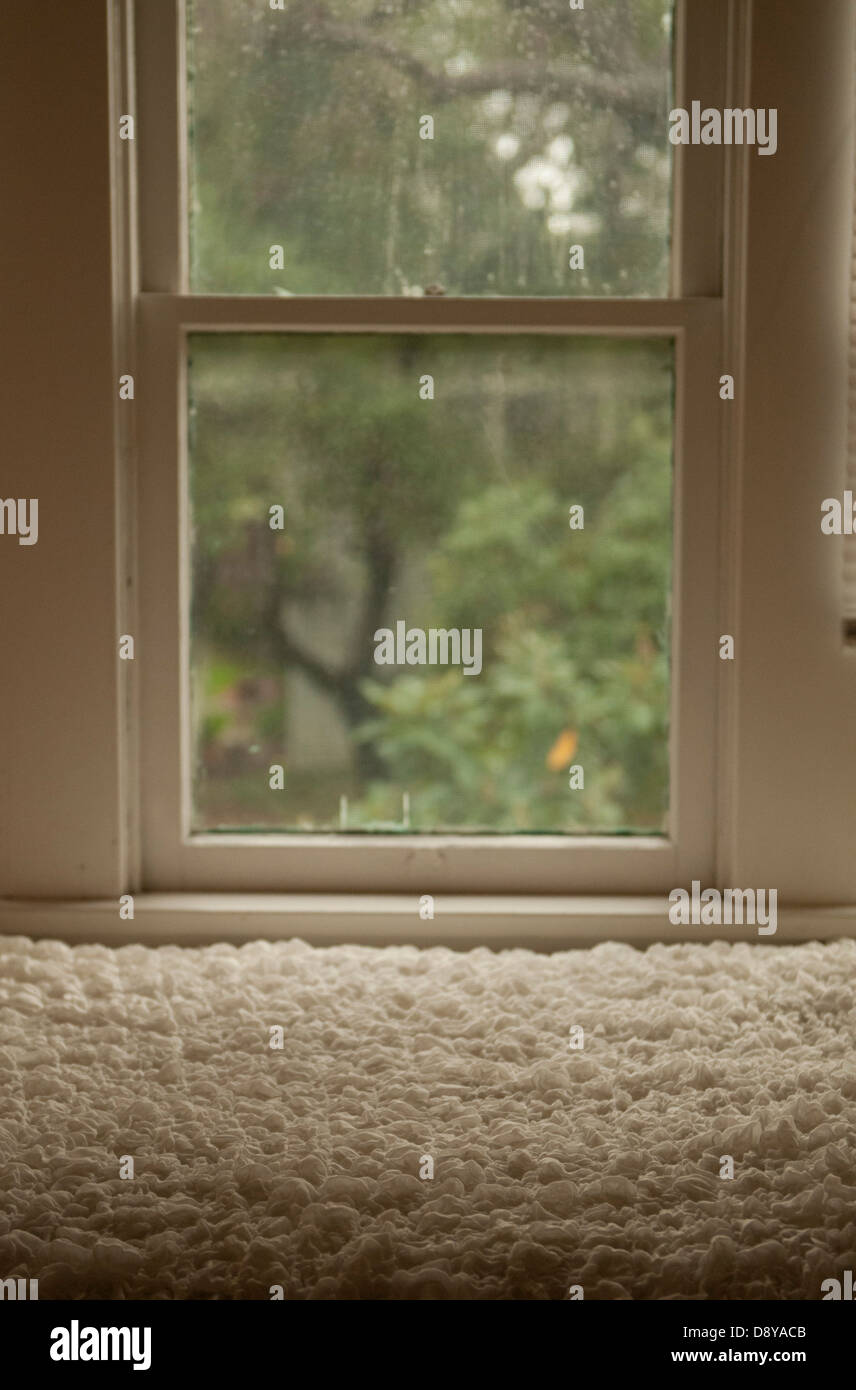 Window overlooking backyard trees Stock Photo - Alamy