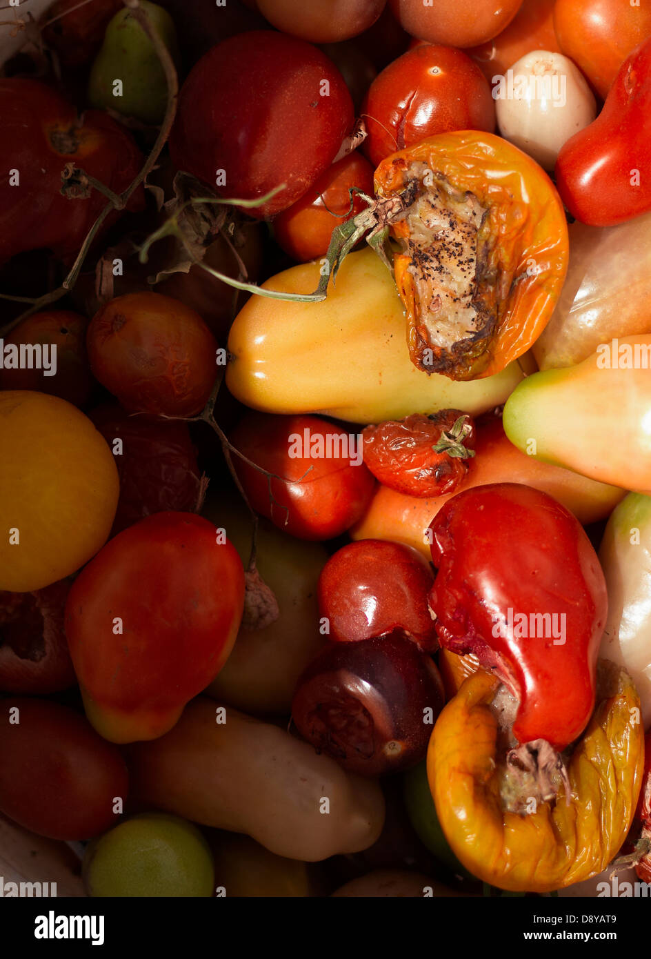 Decaying Vegetables High Resolution Stock Photography and Images - Alamy