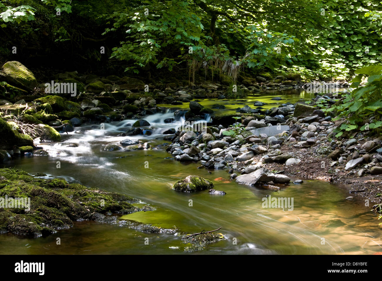 Fast flowing Elliot Water Arbirlot waterfall in the Scottish Summer ...