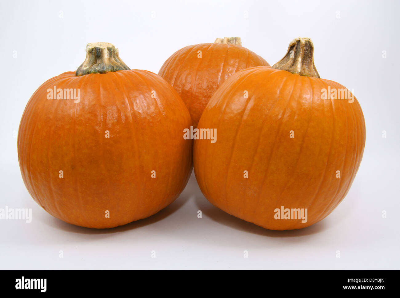 Three high resolution pumpkins isolated on a white background Stock ...