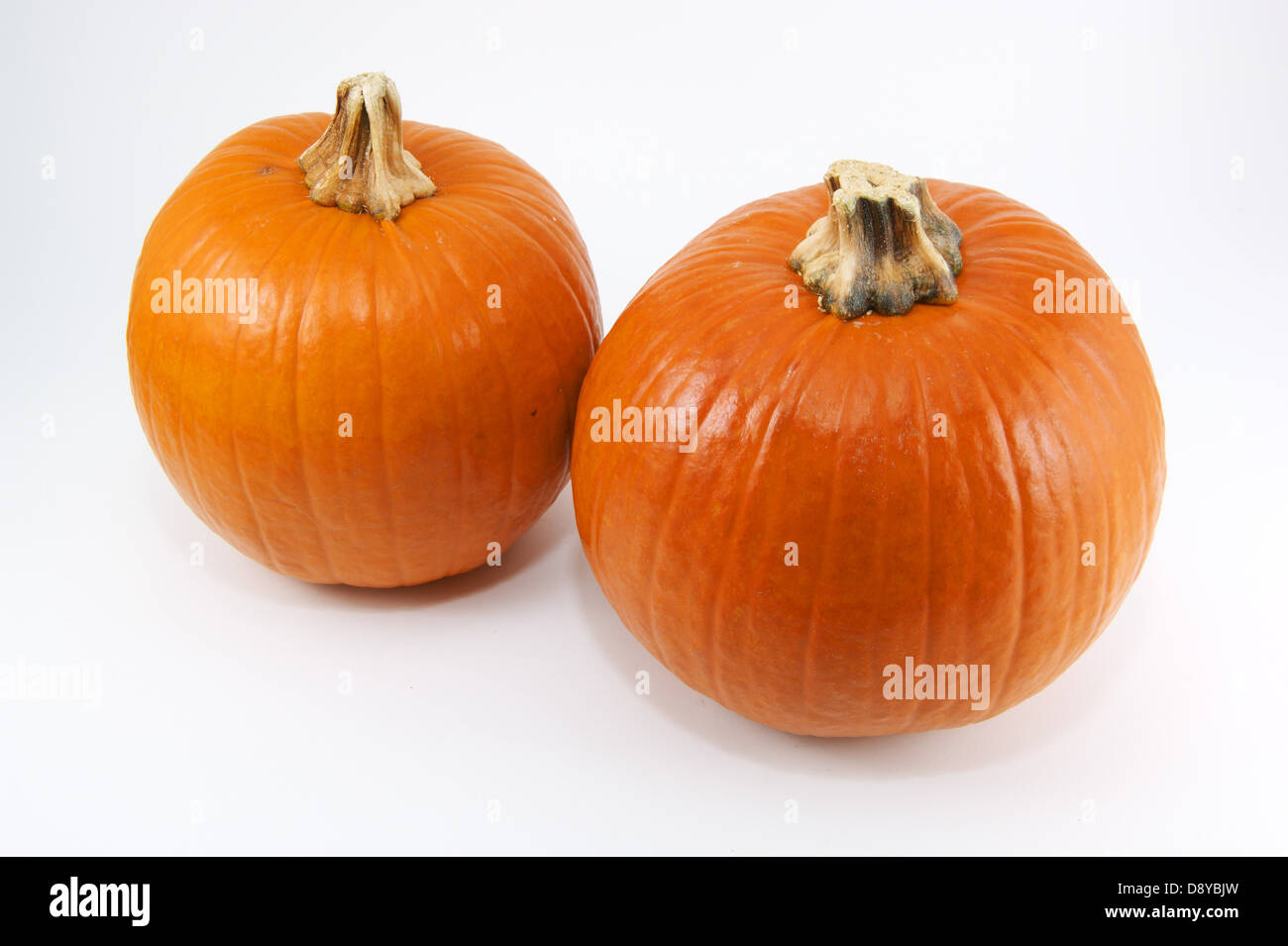 Two high resolution pumpkins isolated on a white background Stock Photo ...