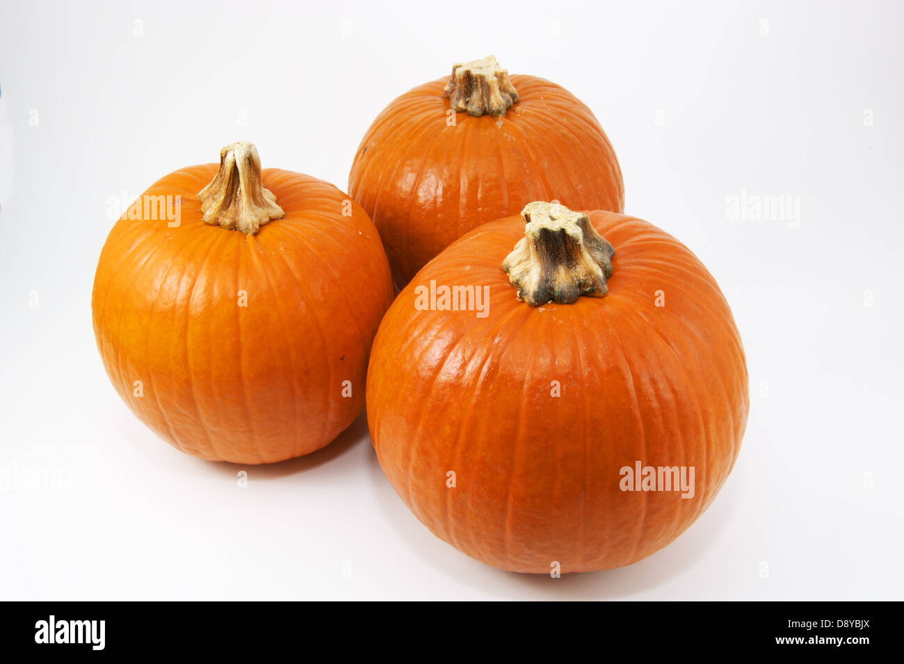 Top down view of three high resolution pumpkins isolated on a white ...
