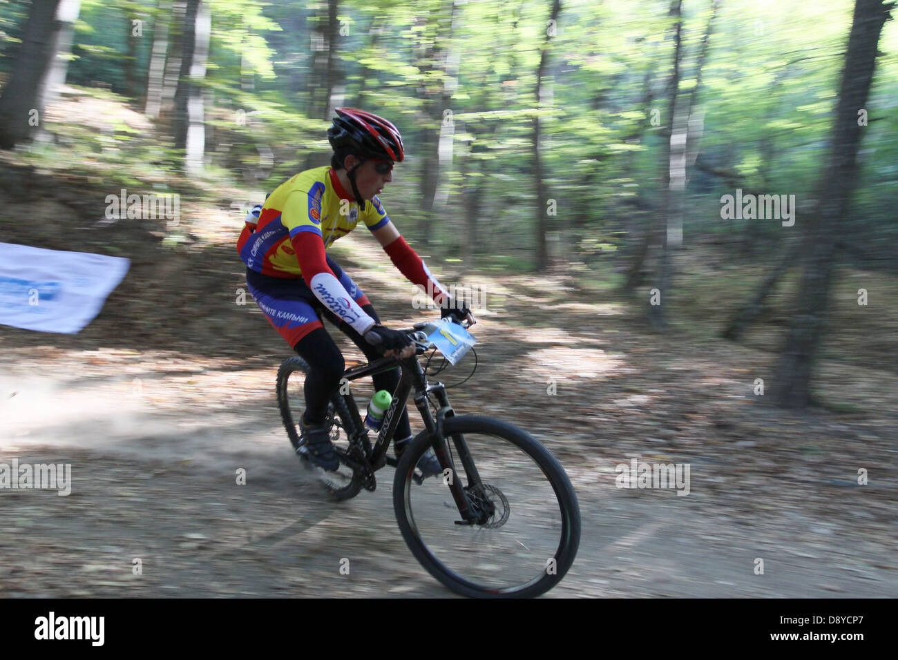 sport, riders, bicycle race, forest Stock Photo - Alamy