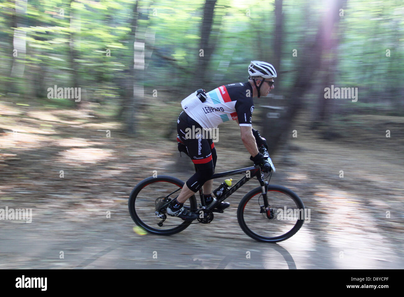 sport, riders, bicycle race, forest Stock Photo - Alamy