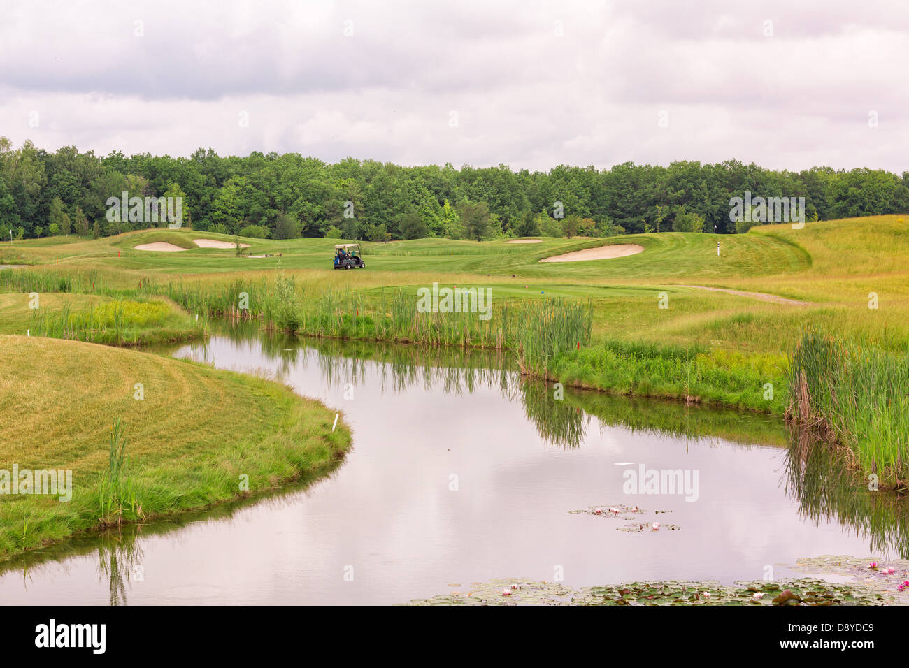 Perfect wavy ground with nice green grass on a golf field Stock Photo ...