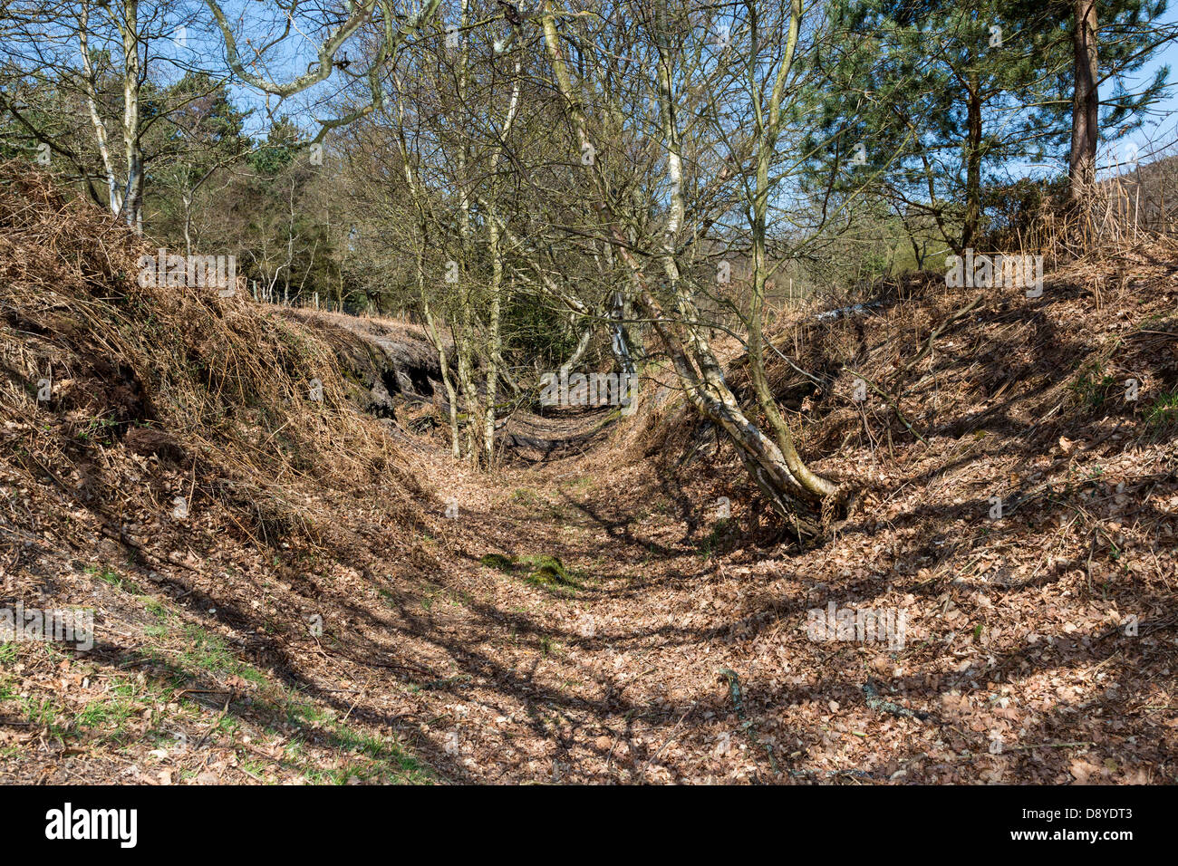 Ditch cut out habitat drainage dry hi-res stock photography and images ...