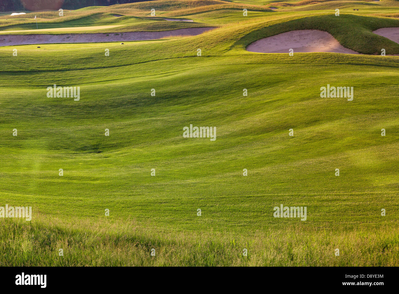 Perfect wavy ground with nice green grass on a golf field Stock Photo ...
