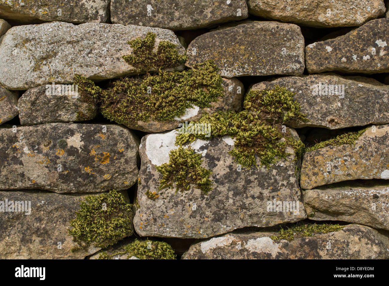 Dry stone walling england hi-res stock photography and images - Alamy