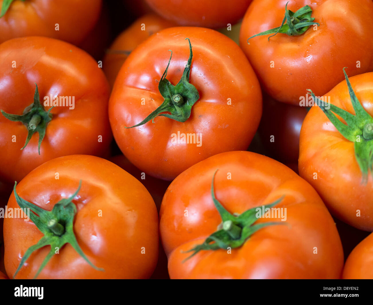 Vegetable tomatoes tomatos hi-res stock photography and images - Alamy