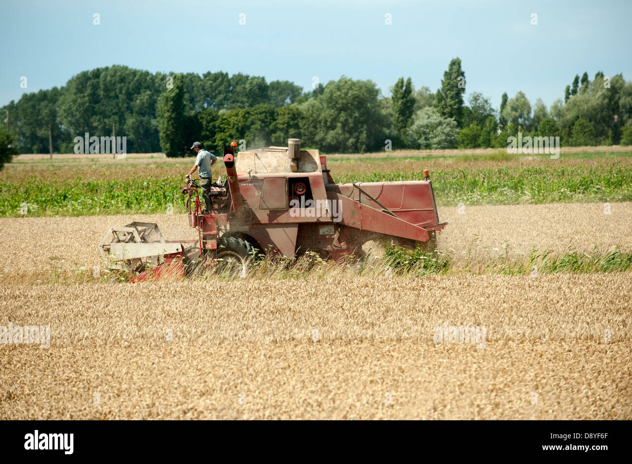 French Farmer Combine Harvester Wheat Saint-Omer Capelle France Europe ...
