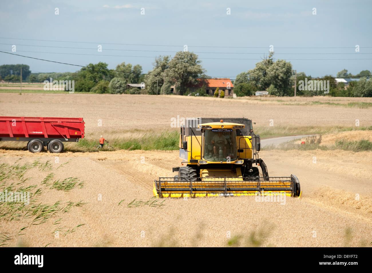 French Farmer Combine Harvester Wheat Saint-Omer Capelle France Europe ...