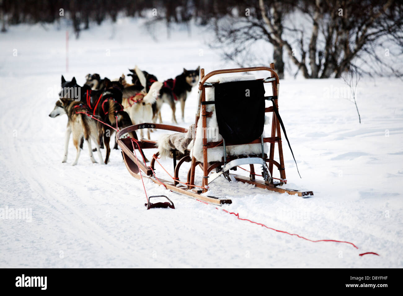 A parked dog sledge Stock Photo - Alamy