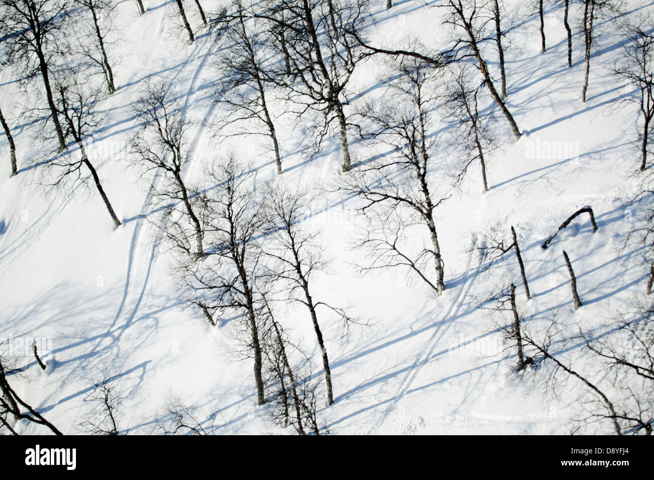 Winter landscape, Hemavan, Sweden Stock Photo - Alamy